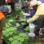 Puebla: 5-Hour Culinary Tour with Tastings - Exploring Puebla’s Culinary Roots