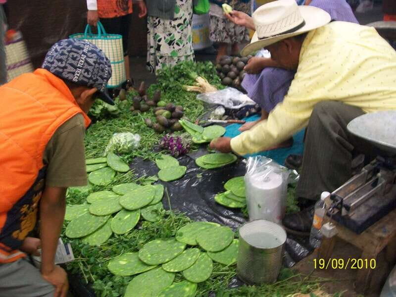 Puebla: 5-Hour Culinary Tour with Tastings - Exploring Puebla’s Culinary Roots