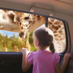 Puebla Africam Safari Park, Live an Unforgettable Adventure! - Why This Tour Is a Great Choice