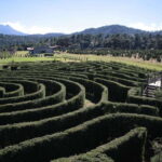 Puebla: Alpinia Mountain and Nature Park - The Location and What to Expect