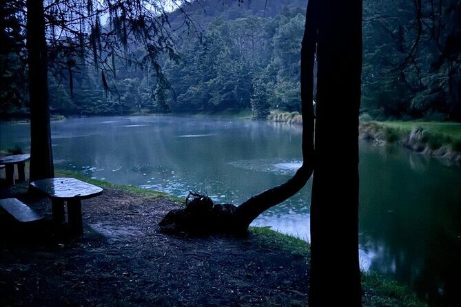 Puebla City Tour & Fireflies Sanctuary from Mexico City - What Makes This Tour Stand Out?