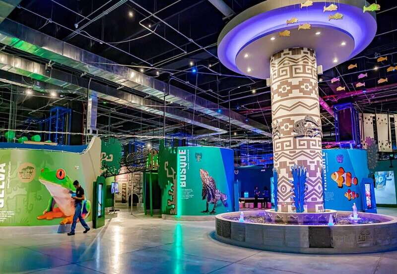 Puebla: Hop-on Hop-off City Tour and Aquarium Michín - In-Depth Review of the Puebla Hop-on Hop-off Tour and Aquarium Michín