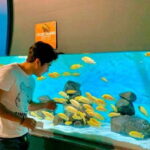 Puebla: Ticket to Aquarium Michin - Practical Details & Tips for Visiting