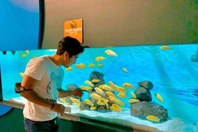 Puebla: Ticket to Aquarium Michin - Practical Details & Tips for Visiting