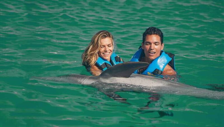Puerto Aventuras: Amazing Dolphin Encounter with Lunch - Why This Tour Might Be Perfect for You