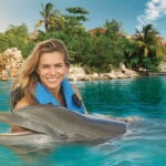 Puerto Aventuras: Dolphin Swim, Sea Lions, Manatees, & Lunch - The Value: Is It Worth It?