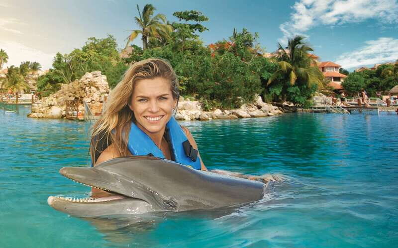 Puerto Aventuras: Dolphin Swim, Sea Lions, Manatees, & Lunch - The Value: Is It Worth It?