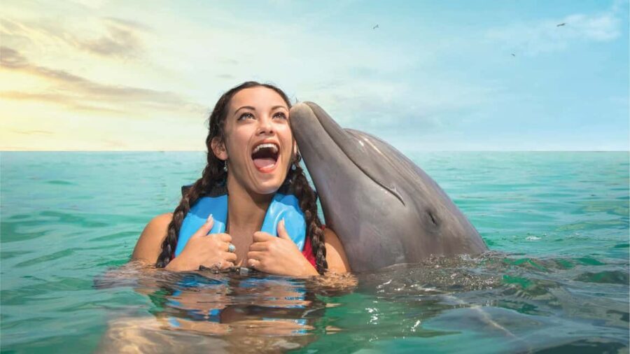 Puerto Aventuras: Dolphins, Manatee & Sea Lion interaction - The Itinerary in Detail
