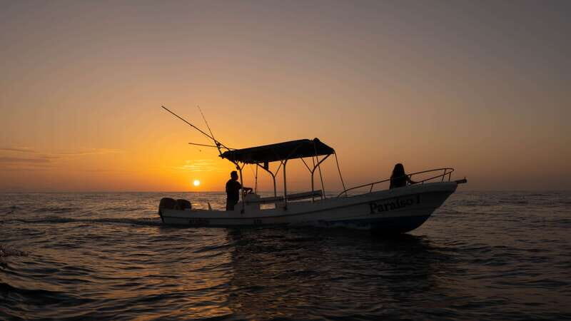 Puerto Escondido: Boat Tour among Dolphins and Turtles - Final Thoughts: Is It Worth It?