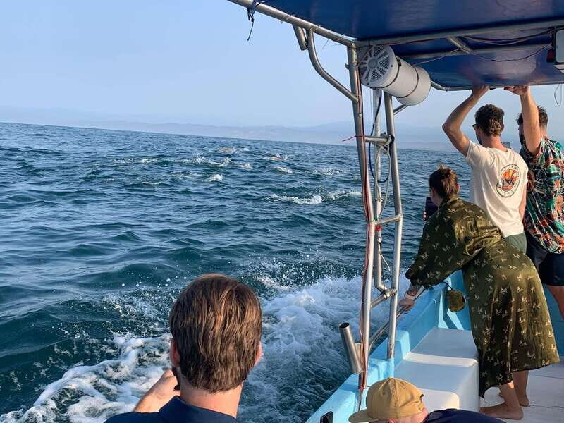 Puerto Escondido: Boat Tour to see Dolphins and Marine Life - The Itinerary: What to Expect