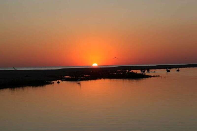 Puerto Escondido: Turtle Release and Bioluminescent Plankton - What’s Included and What’s Not