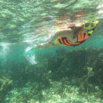 Puerto Morelos: Guided Snorkeling Tour with Gear & Fees - Explore the Vibrant Underwater World of Puerto Morelos