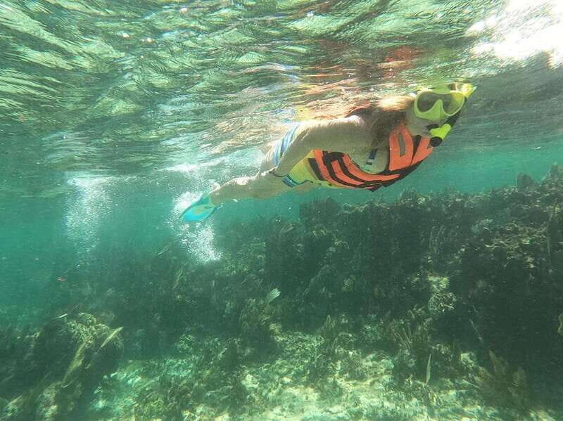 Puerto Morelos: Guided Snorkeling Tour with Gear & Fees - Explore the Vibrant Underwater World of Puerto Morelos