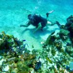 Puerto Morelos: Scuba Experience with Gear & Instructor - FAQs