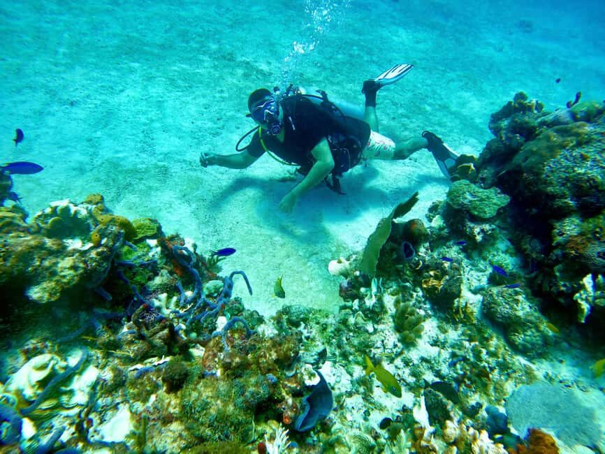 Puerto Morelos: Scuba Experience with Gear & Instructor - FAQs