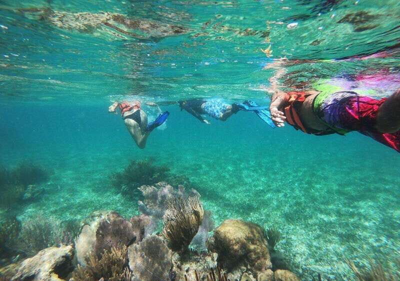 Puerto Morelos: Snorkel in Coral Reef with transportation - Pricing and Value Analysis