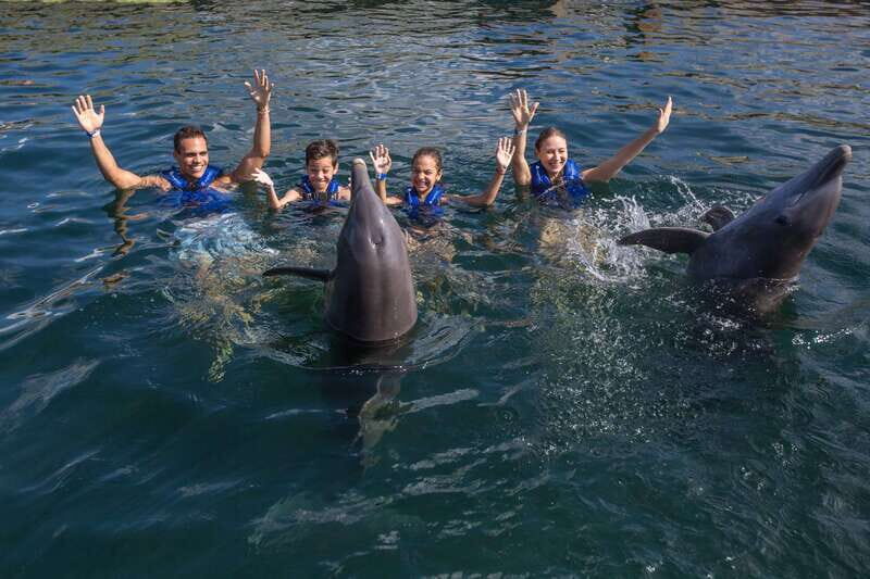 Puerto Morelos: Swim with Dolphins - What to Expect During the Tour