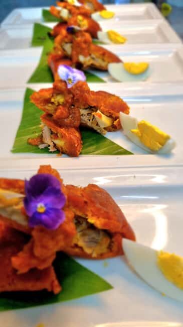 Puerto Morelos: Tequila University Gourmet Experience - FAQ