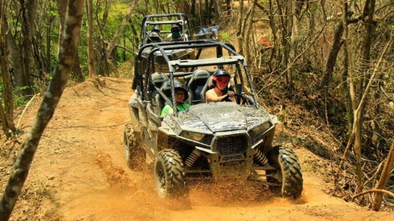 Puerto Vallarta: ATV/RZR Canopy River for Cruise Guests - The Highlights: What to Expect from the Tour