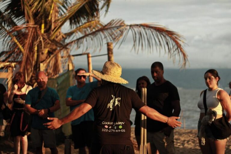 Puerto Vallarta: Baby Turtle Release in Conservation Area - What’s Included and What You’ll Need to Arrange