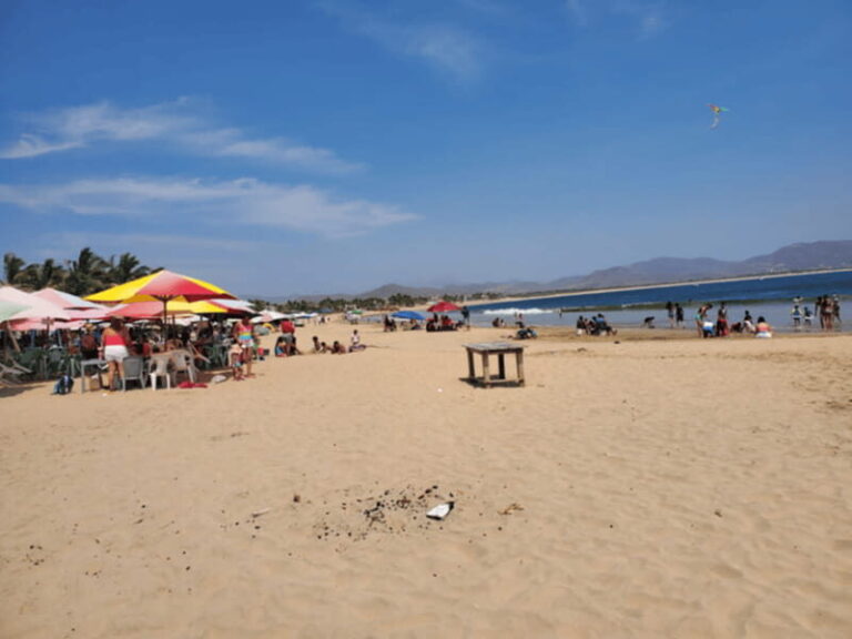 Puerto Vallarta: Beach Tour Experience - The Experience Providers and Booking Flexibility