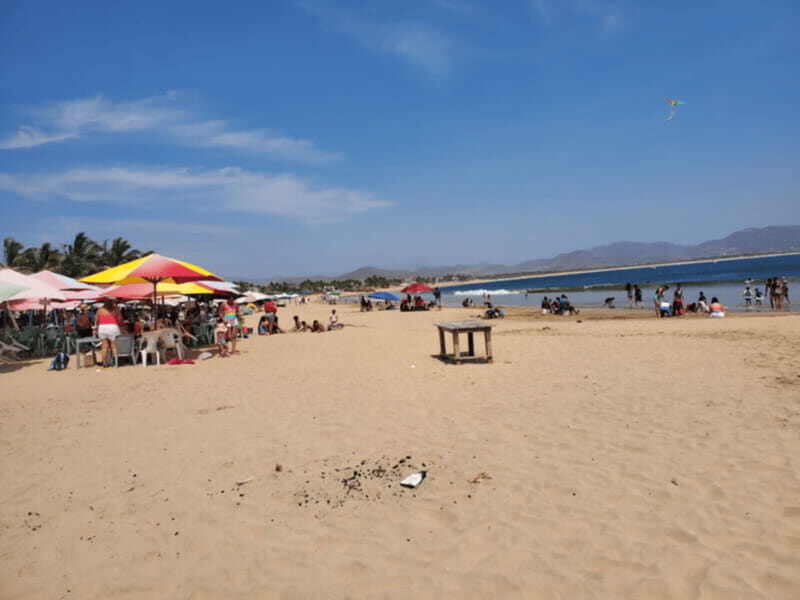 Puerto Vallarta: Beach Tour Experience - The Experience Providers and Booking Flexibility