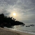 Puerto Vallarta: Bioluminescence in Los Arcos Marine Park - The Value of the Tour