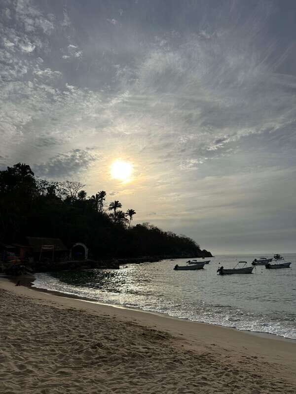 Puerto Vallarta: Bioluminescence in Los Arcos Marine Park - The Value of the Tour