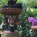 Puerto Vallarta Botanical Garden Tour with University Biologist - What’s Included and What to Keep in Mind