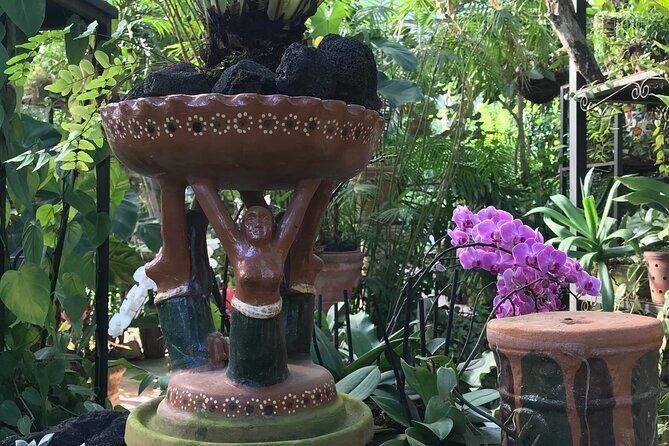 Puerto Vallarta Botanical Garden Tour with University Biologist - What’s Included and What to Keep in Mind