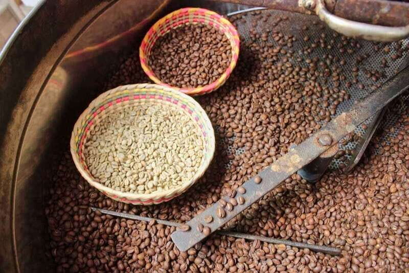 Puerto Vallarta: Botanical Gardens, Distillery & Coffee Tour - Discovering the Puerto Vallarta Botanical Gardens