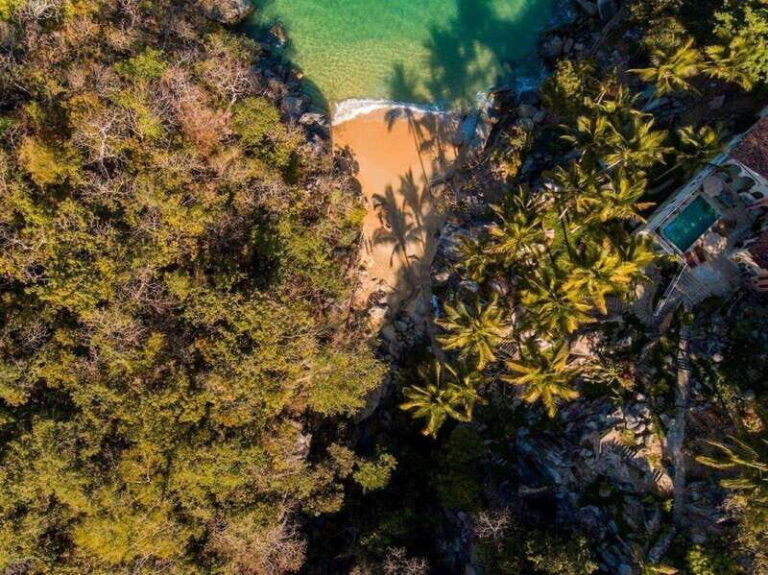 Puerto Vallarta: Catamaran Cruise With Snorkeling and Lunch - A Deep Dive Into the Experience