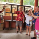 Puerto Vallarta: City Tour - What Sets This Tour Apart