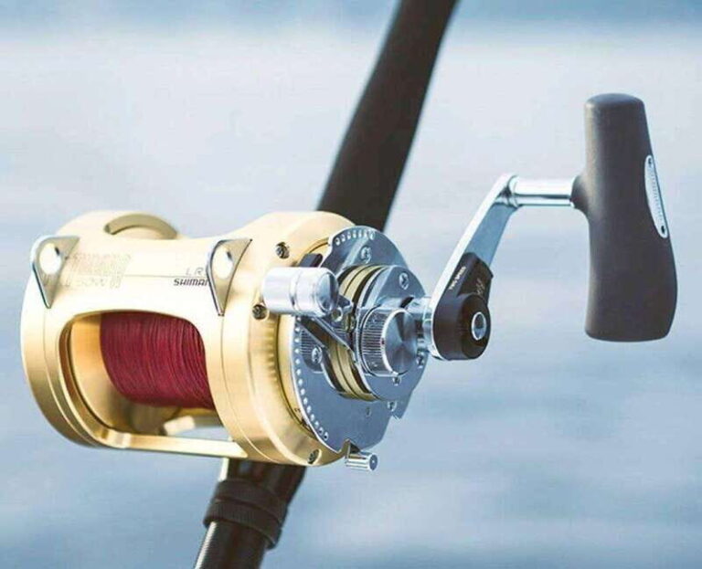 Puerto Vallarta: Fishing Pami I 27 - FAQs