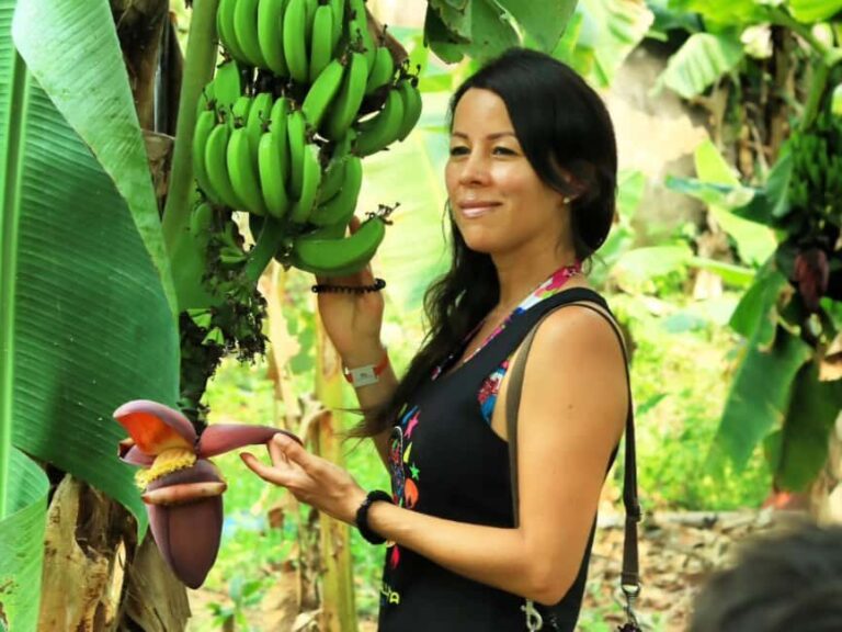 Puerto Vallarta: Hands-on Farm Experience from Cow to Cheese - Discovering Puerto Vallarta Beyond the Beaches