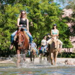 Puerto Vallarta: Horseback Ride to Mountain Waterfalls - What to Expect on the Trail