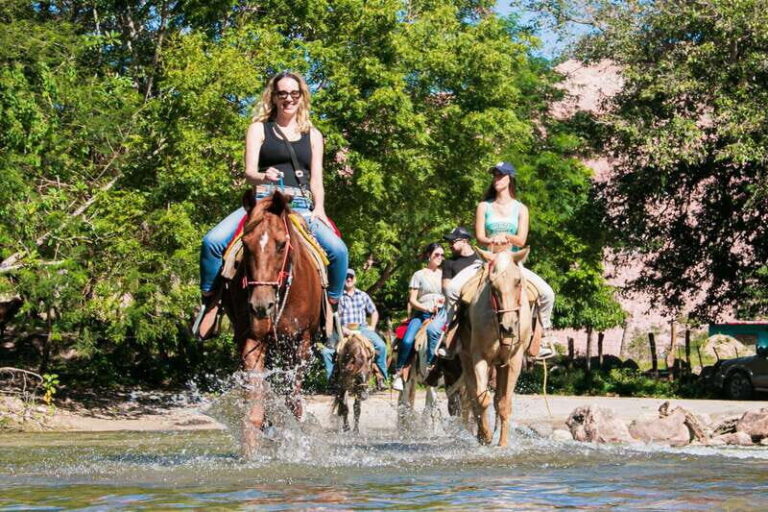 Puerto Vallarta: Horseback Ride to Mountain Waterfalls - What to Expect on the Trail