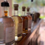 Puerto Vallarta: Horseback Riding at Hacienda Doña Engracia - Who Is This Tour Best For?