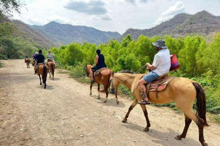 Puerto Vallarta: Horseback Riding, Lunch & Unlimited Drinks - Final Thoughts on Value and Experience