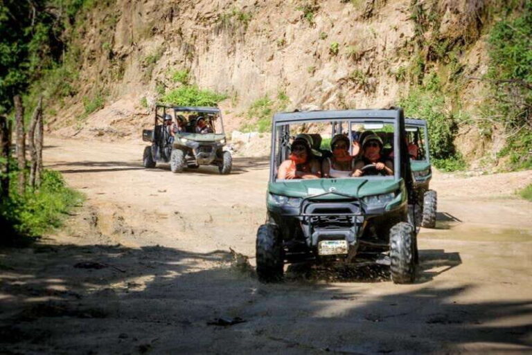 Puerto Vallarta: Jungle Buggy Adventure - Who Will Love This Tour?