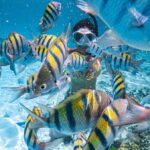 Puerto Vallarta: Los Arcos Islands Boat Tour and Snorkeling - The Experience’s Highlights: What We Really Like
