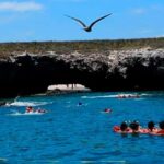 Puerto Vallarta: Marietas Islands Experience - Practical Details and Tips