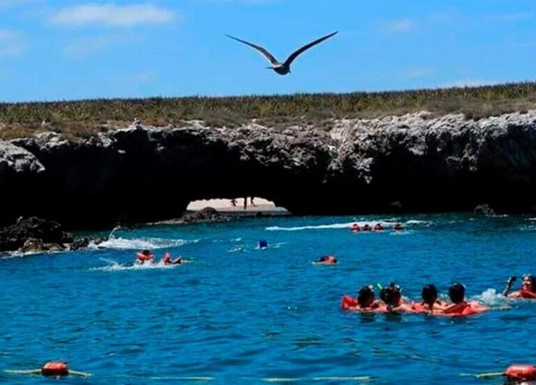 Puerto Vallarta: Marietas Islands Experience - Practical Details and Tips