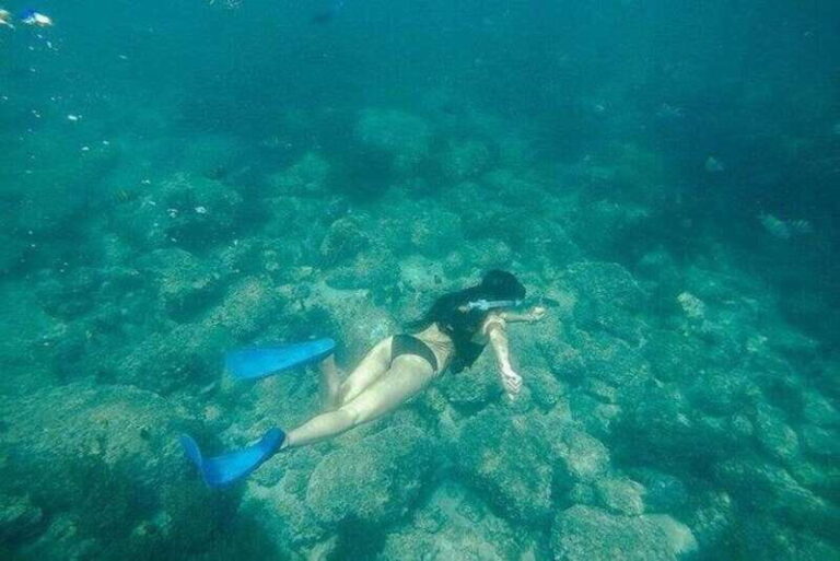 Puerto Vallarta: Pirate Ship Adventure - What to Expect on the Pirate Ship Adventure