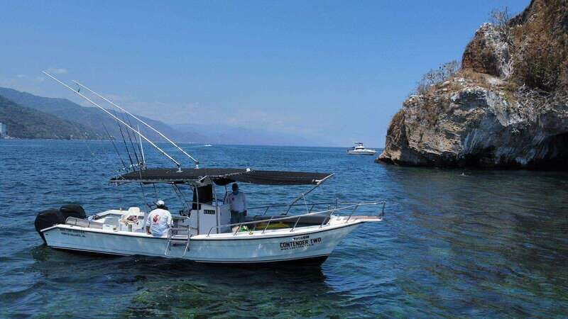 Puerto Vallarta: Private Ocean Adventure - What You Need to Know