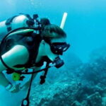 Puerto Vallarta: Scuba Dive at Los Arcos - What to Expect from the Tour