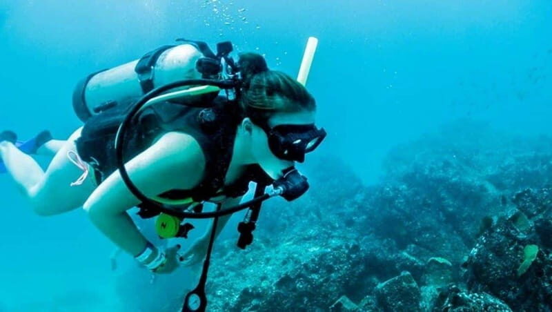 Puerto Vallarta: Scuba Dive at Los Arcos - What to Expect from the Tour