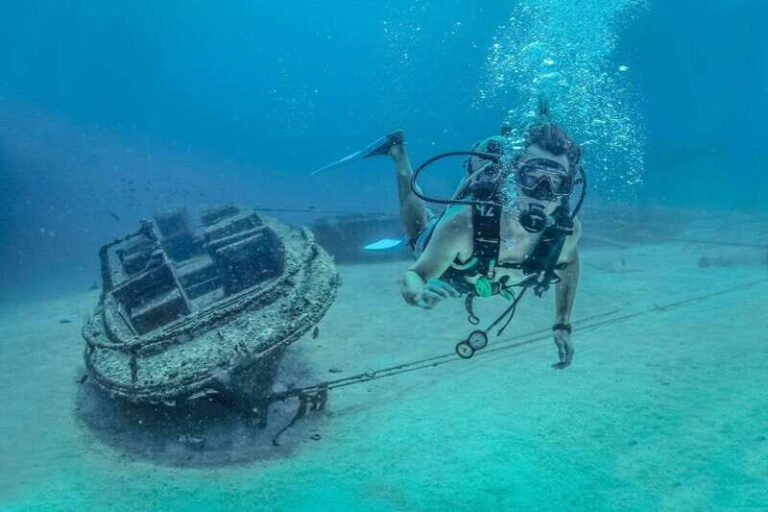 Puerto Vallarta: Scuba Dive in Las Caletas - Diving Conditions and Marine Encounters