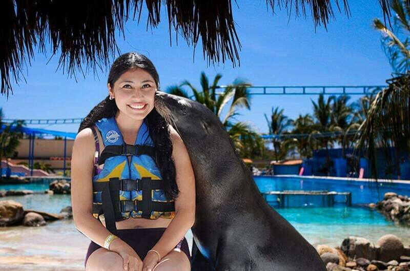 Puerto Vallarta: Sea Lion Discovery at Aquaventuras Park - The Water Park: More Than Just Animal Encounters