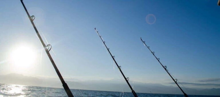 Puerto Vallarta: Shared Fishing - The Itinerary: What to Expect